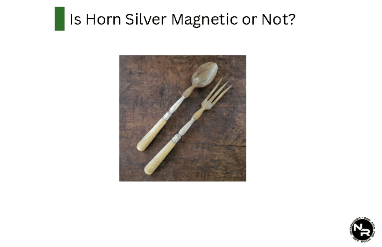 Is Silver Magnetic or Not? What about Sterling Silver (Guide)?