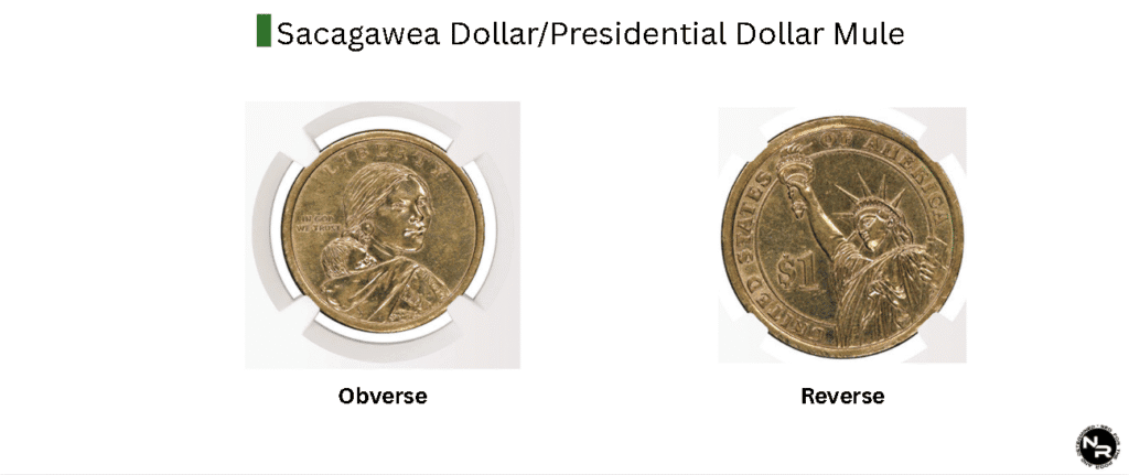 What is a Sacagawea Dollar Coin? What is it Worth?